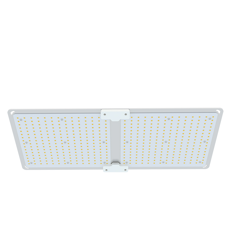 China Rapid Delivery for 400w Led Flood Light - PhotonGroTM 4 – Indoor ...